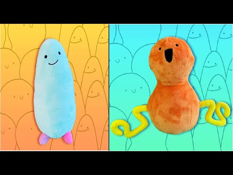 The Land Of Boggos/ How Boggo and Boe were Best friends - YouTube