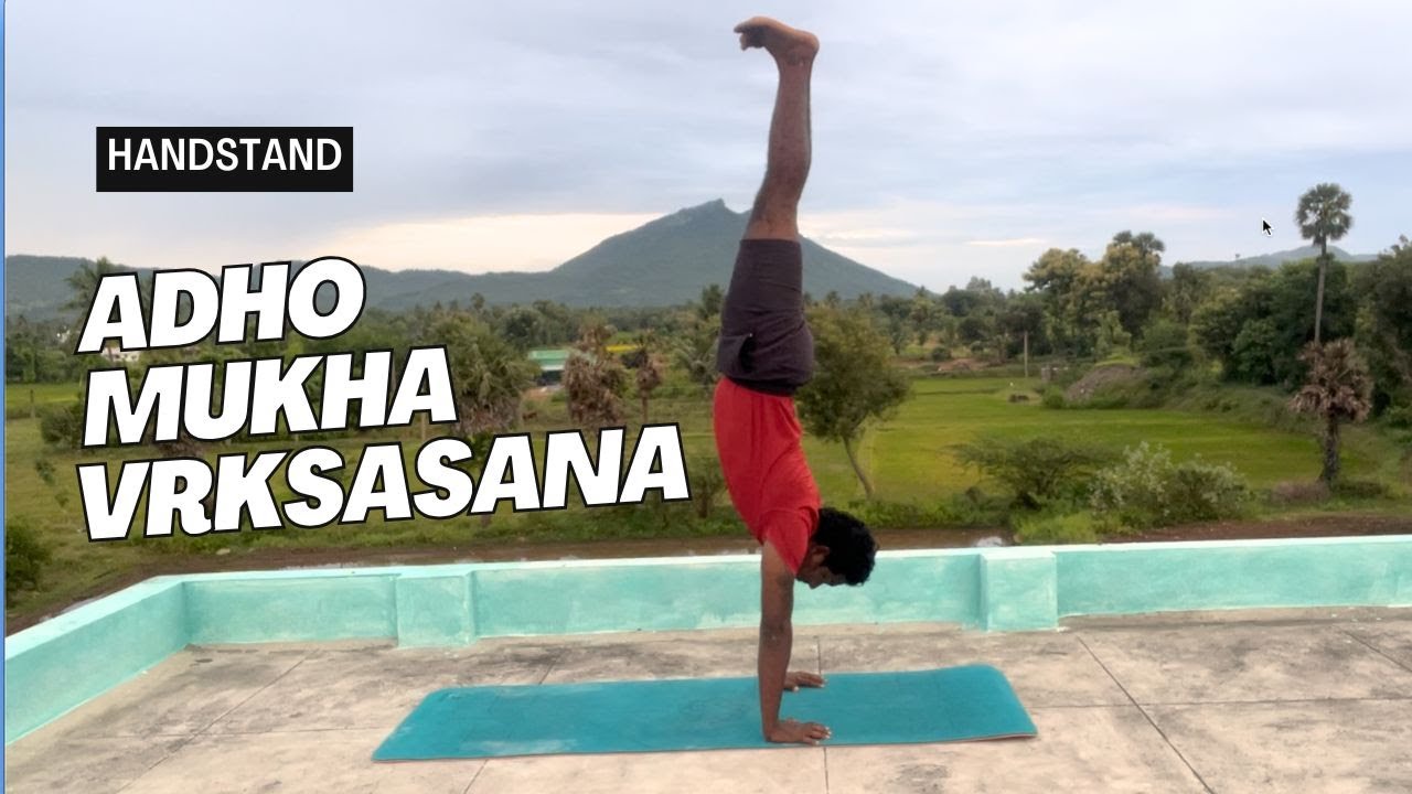 Adho Mukha Vrksasana “Concentrate On Arm Stretch In Standing Poses,