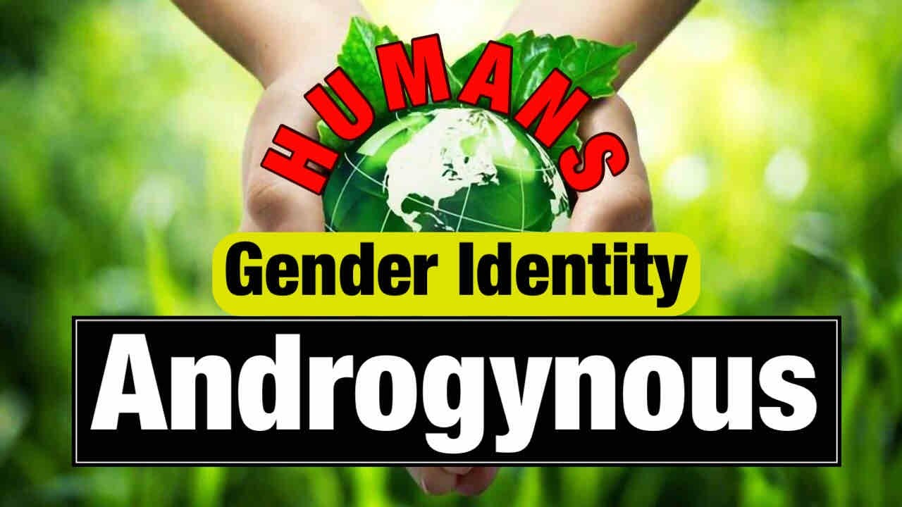 Gender Identity ANDROGYNOUS ""Breaking Boundaries: Celebrating the ...