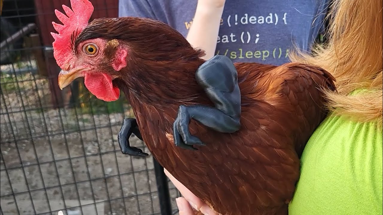 Cluckasaurus Rex Chicken Arms: Fun, but hard to get on - YouTube