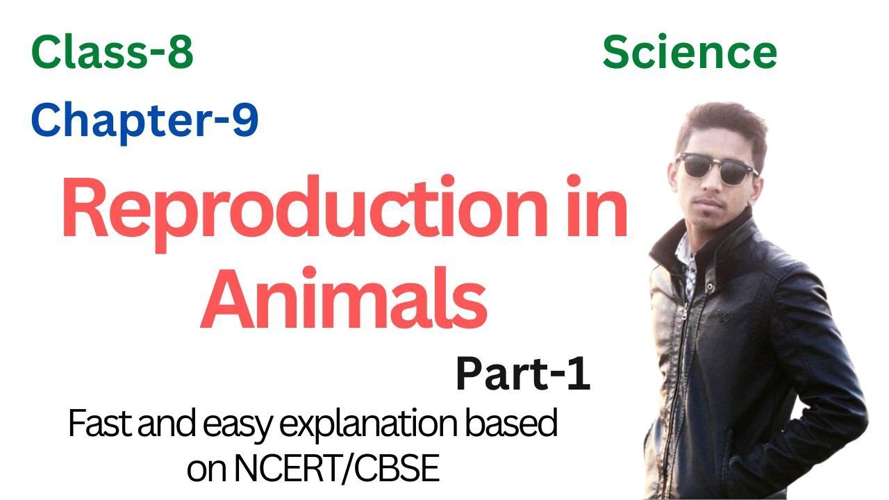 Reproduction in Animals Full Chapter Class 8 Science | NCERT Science ...