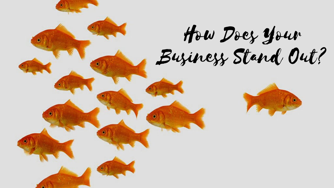 How Does Your Business Stand Out From Competitors (What Is Your Unique ...
