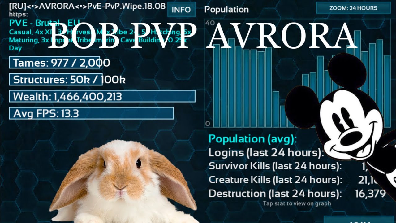 Bob PvP in Avrora. - YouTube