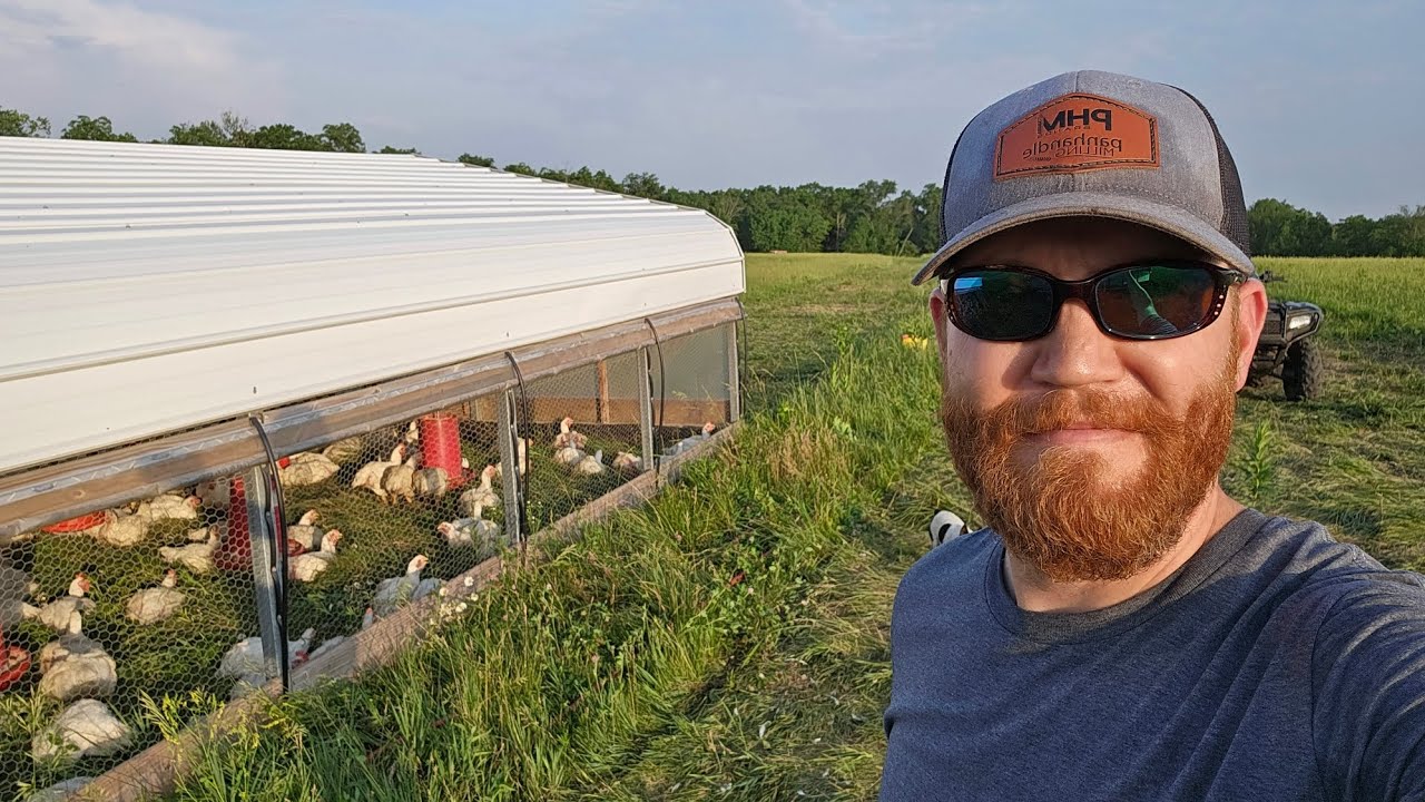 Regenerative Farming - Managing for improved pastures using broiler ...