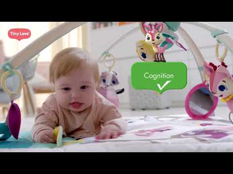 Развивающий коврик Tiny Love с дугами мечты Принцессы