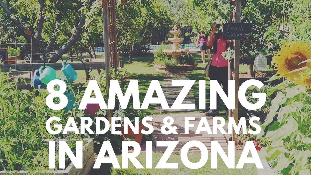 8 AMAZING Gardens & Farms in ARIZONA - YouTube