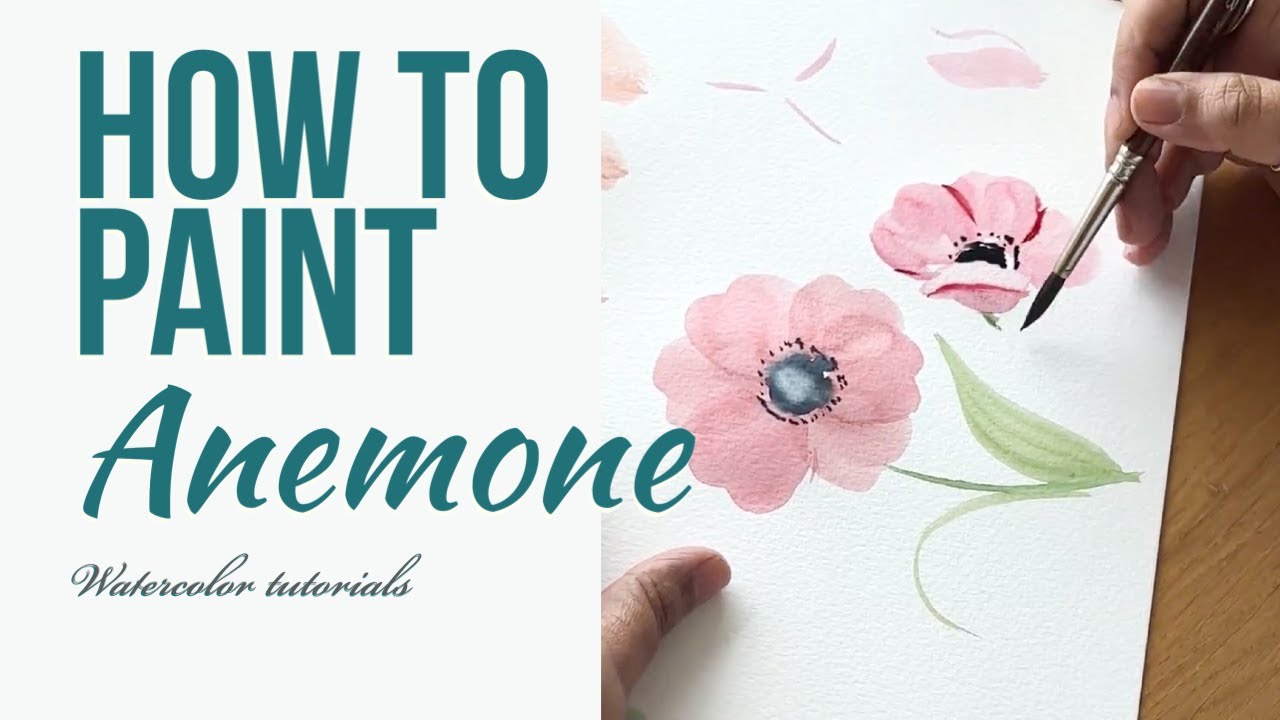 How to paint Anemone flower. Easy Watercolour anemone painting tutorial ...