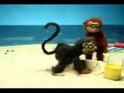 Macaco tarado - YouTube