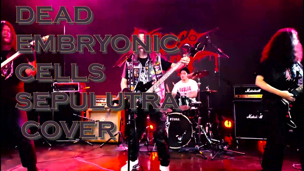 Dead Embryonic Cells(Sepultura cover)-NecroElixir - YouTube