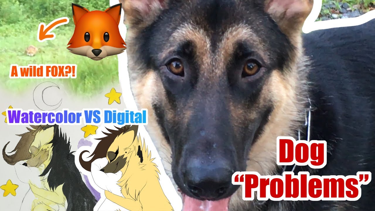 A Fox, Shadow being cute, & ART updates/news - YouTube