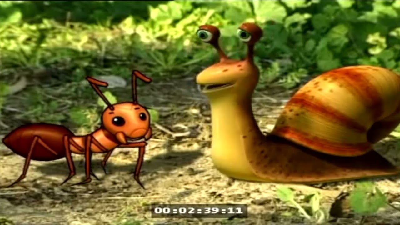 Pan slimak muszla mr snail polish lost shell - YouTube