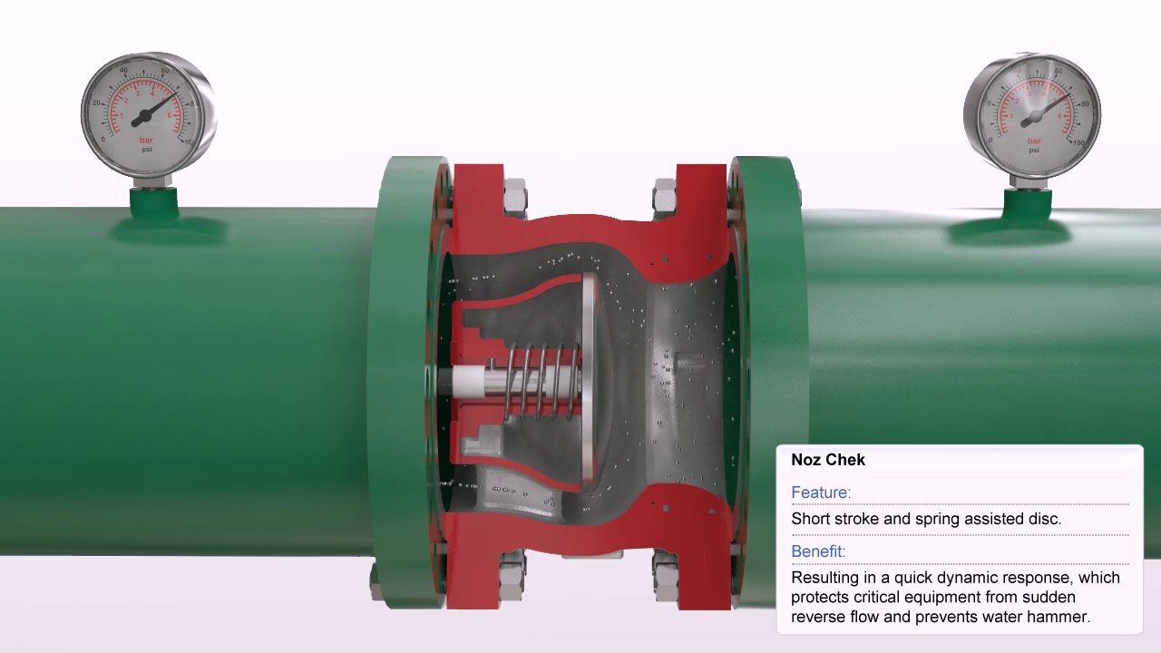 CRANE® Noz-Chek® Short Stroke Spring Assisted - YouTube