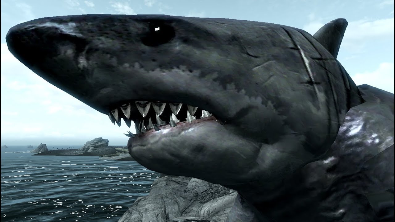 Wereshark Elder Scrolls