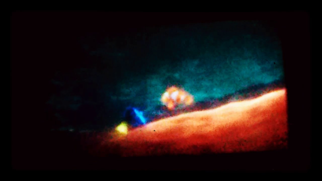 BUSCANDO NEMO BALLENA DENTRO SONIDO 2 - YouTube