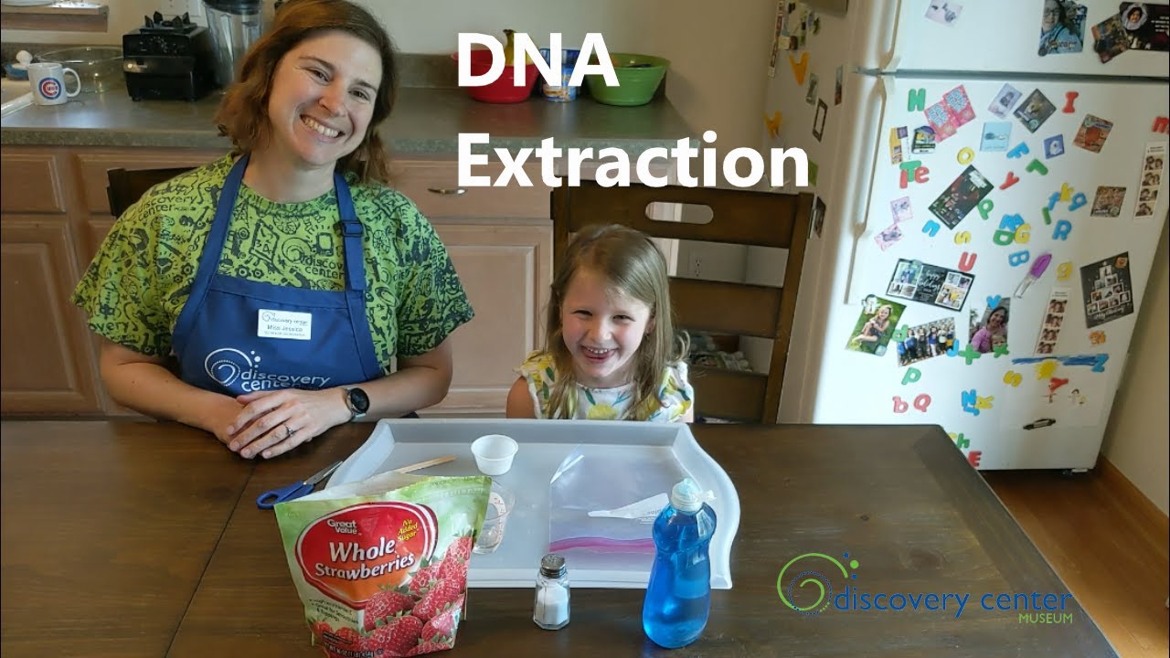 DNA Extraction-Discovery Center Playful Learning at Home - YouTube