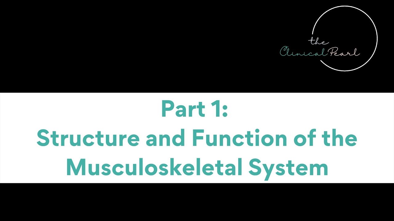 Part 1/3 Structure and Function of the Musculoskeletal System - RN ...