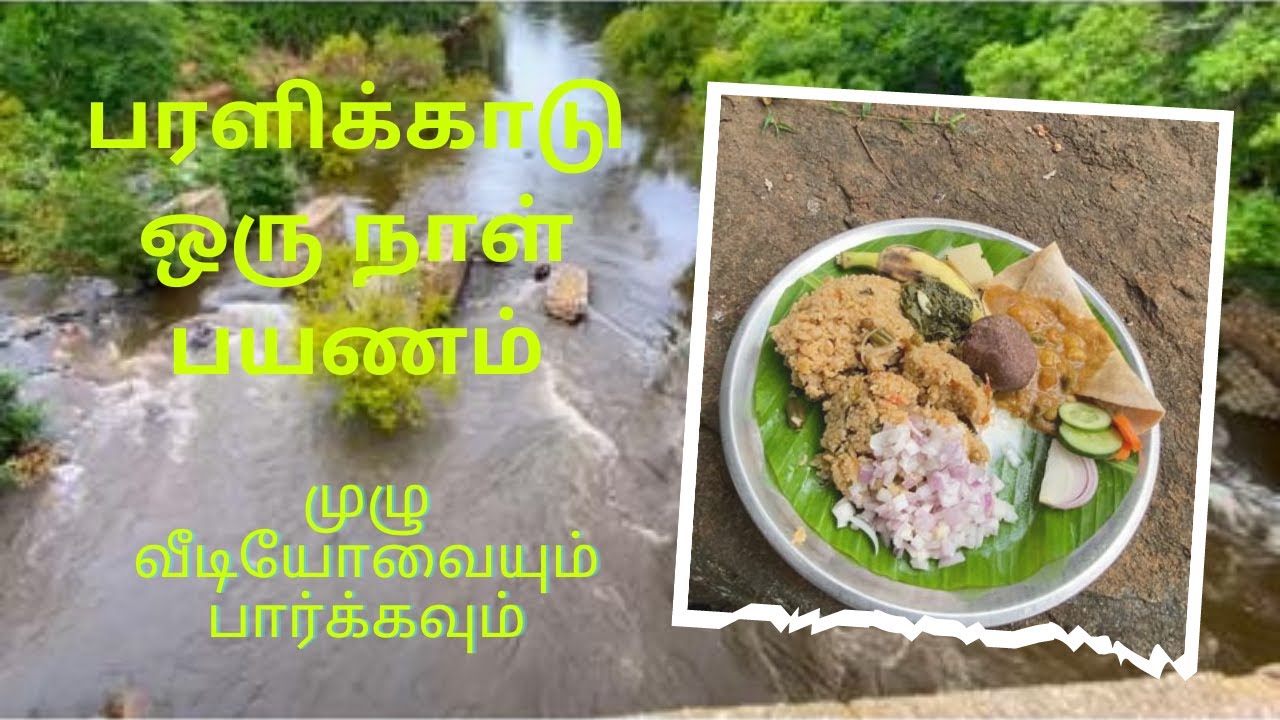 Exploring Baralikadu: A Hidden Gem in Coimbatore Forests | Nature's ...