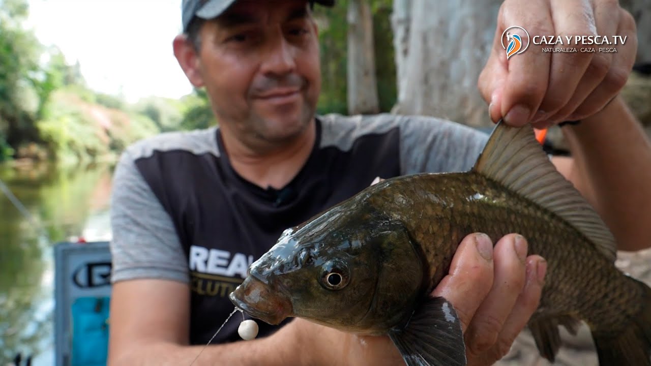 【𝐏𝐮𝐫𝐨 𝐦𝐞́𝐭𝐨𝐝𝐨 𝐅𝐞𝐞𝐝𝐞𝐫 𝐞𝐧 𝐞𝐥 𝐆𝐮𝐚𝐝𝐚𝐢𝐫𝐚】, Pesca a Feeder con Francisco ...
