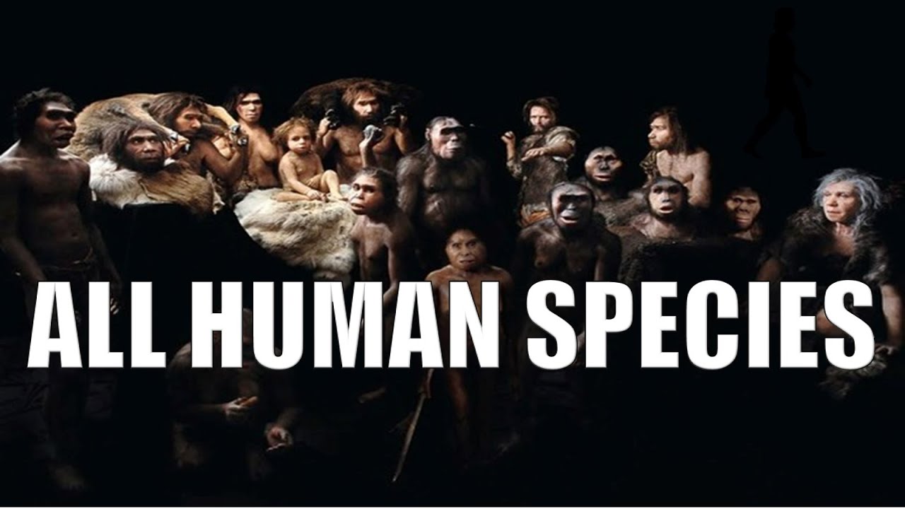 Different Types of Human Species: An Update 2022 - YouTube
