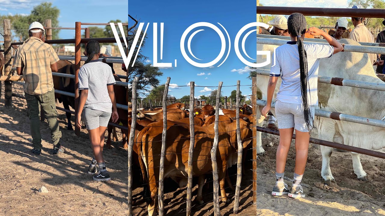 FARM VLOG| Day two at our farm| NAMIBIAN YOUTUBER - YouTube