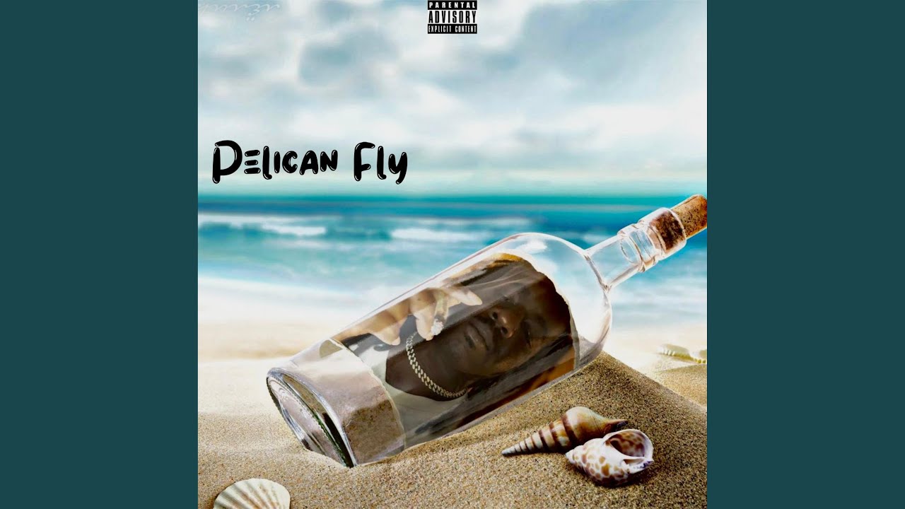 Pelican Fly - YouTube
