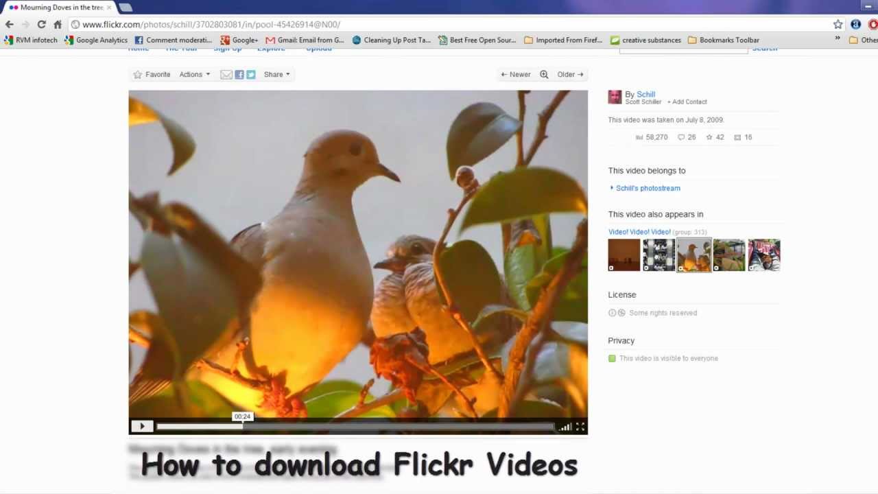How to download Flickr Videos - YouTube