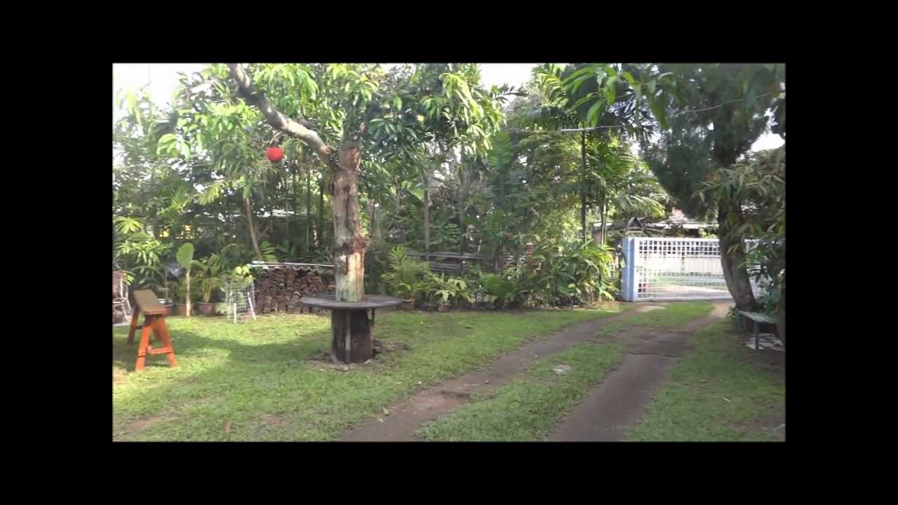 Apa Kaba Home & Stay Melaka Malaysia Review - YouTube