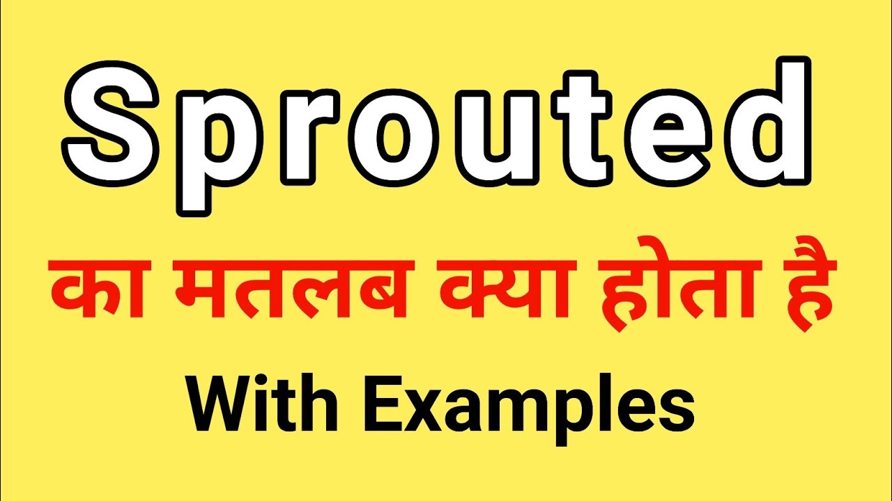 Sprouted Meaning in Hindi | Sprouted ka Matlab kya hota hai | Word ...