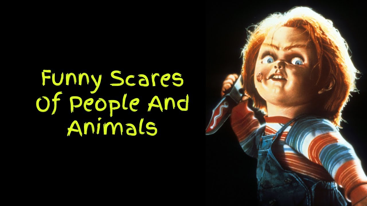funny scares of people and animals | funny video - YouTube