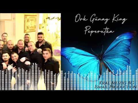 Ork Günay King - Peperutka 2021 (Live Sound)