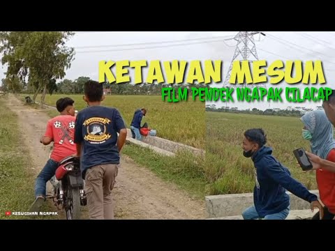 VIRAL MESUM DI SAWAH || FILM PENDEK NGAPAK CILACAP