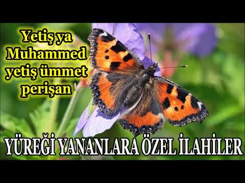 🥀Yetiş Ya Muhammed Yetiş Ümmet Perişan🥀 _ Yüreği yananlara özel Duygulu İlahiler _