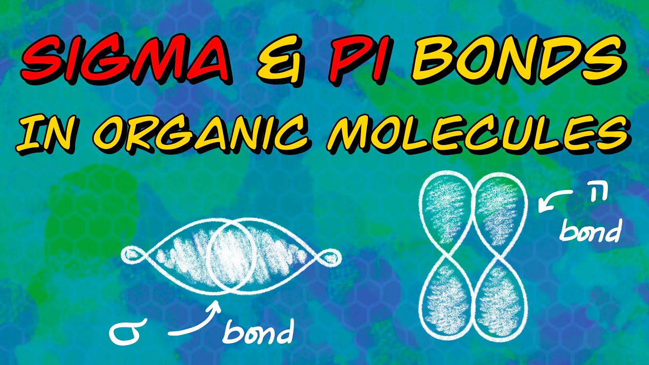 Sigma and Pi Bonds in Organic Molecules - YouTube