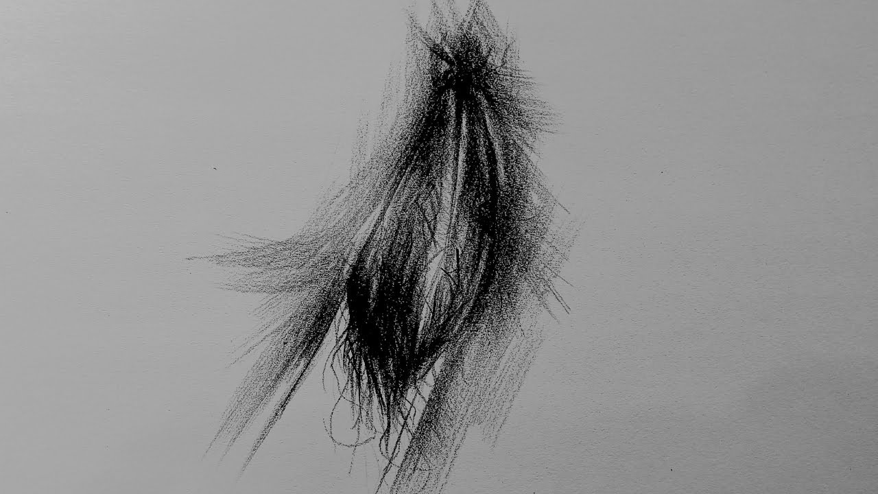 Splitting Lemons Pencil Sketch Tutorial - YouTube