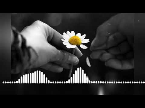 Whatsapp ucun maraqli, MƏNALI statuslar, status ucun videolar QEMLİ WHATSAPPTATUSLARI 2021 #Shorts