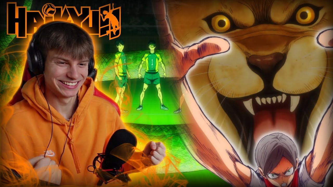 CAT vs SNAKE!!! Haikyuu!! The Path of the Ball (OVA) Reaction - YouTube