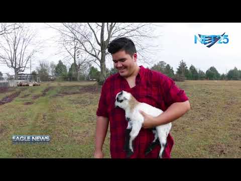 Florida Family Farm Fascinating Fun Facts