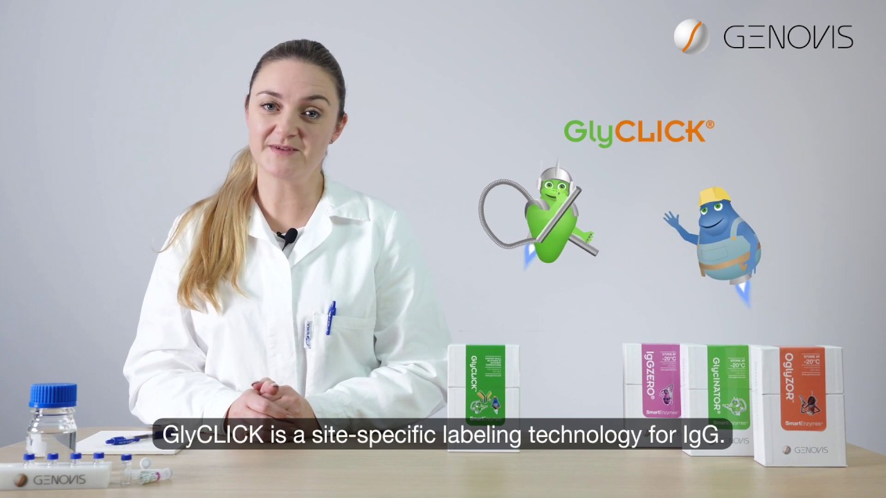 GlyCLICK® - Site-specific labeling of IgG - YouTube