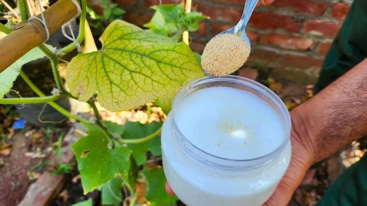 I can’t believe this spray actually works in no time and kills pests ...