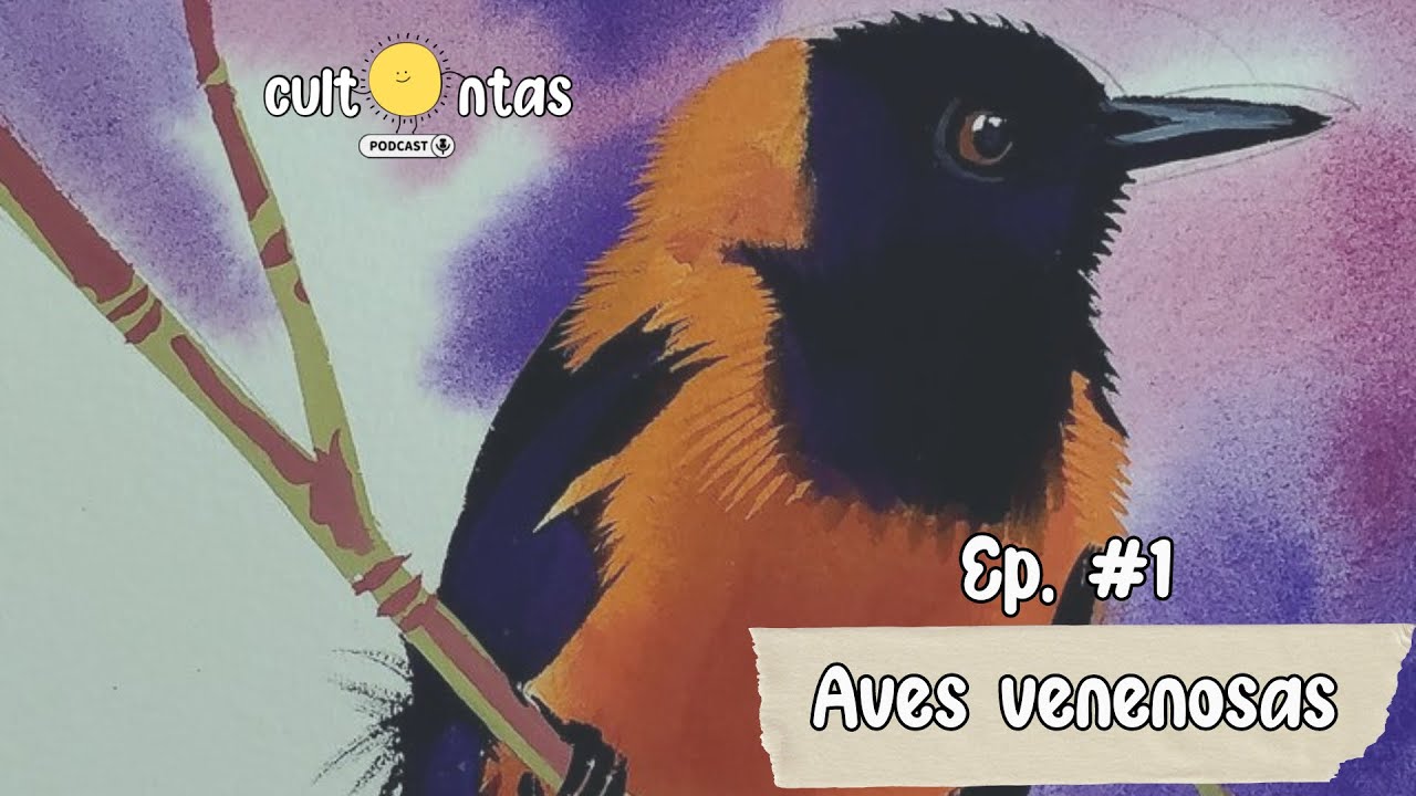 Episodio 1 | Aves venenosas - YouTube