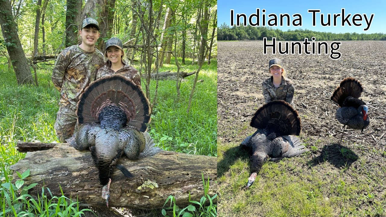 INDIANA TURKEY HUNT - My girlfriend shoots her 2nd ever Tom!!! - YouTube
