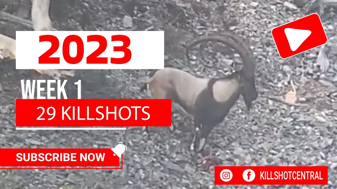 HUNTING KILLSHOT COMPILATION EP. 1 | WEEKLY RECAP | KILLSHOT CENTRAL - YouTube