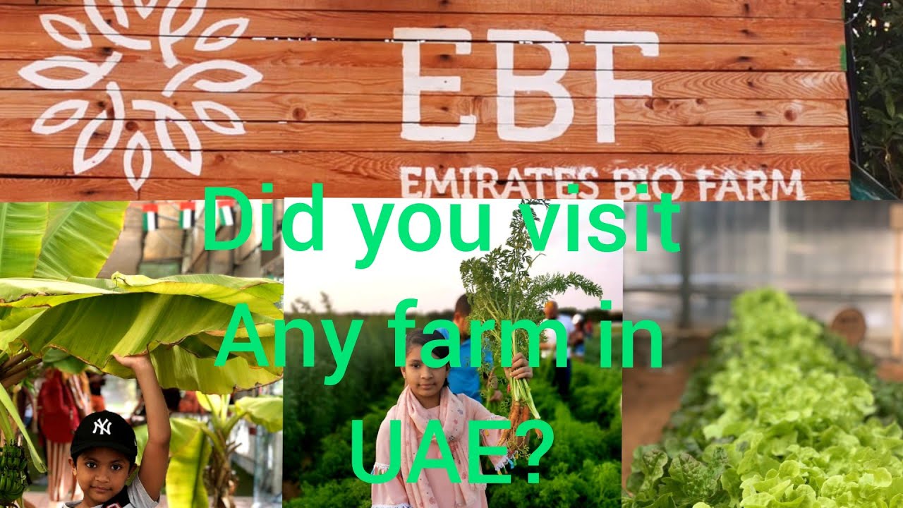 Emirates bio farm Al Ain UAE - YouTube