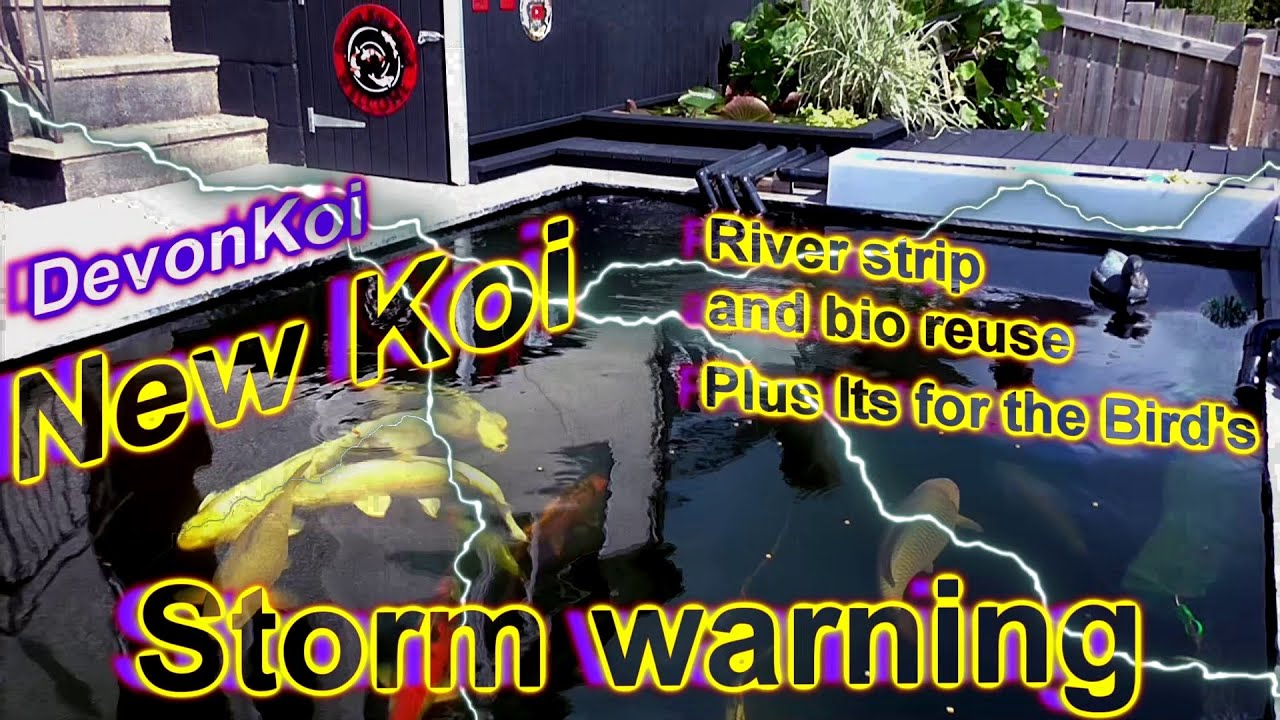 DIY KOI POND FILTER REBUILD***Alfagrog filter bed***Nitrate filter how ...