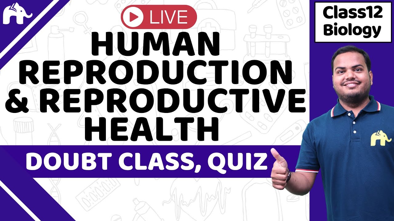 Human Reproduction & Reproductive Health Class 12 Biology | LIVE Doubt ...