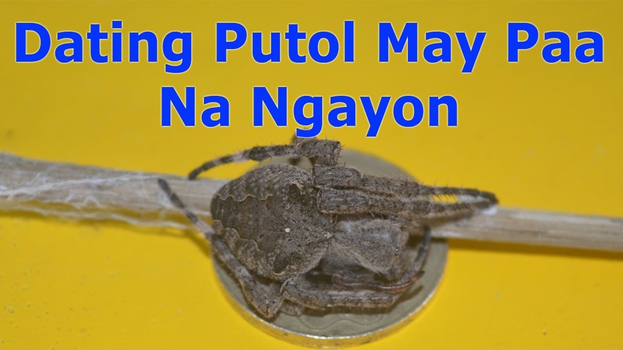 Japan G na Putol May Bagong Paa Ngayong 2020 - YouTube