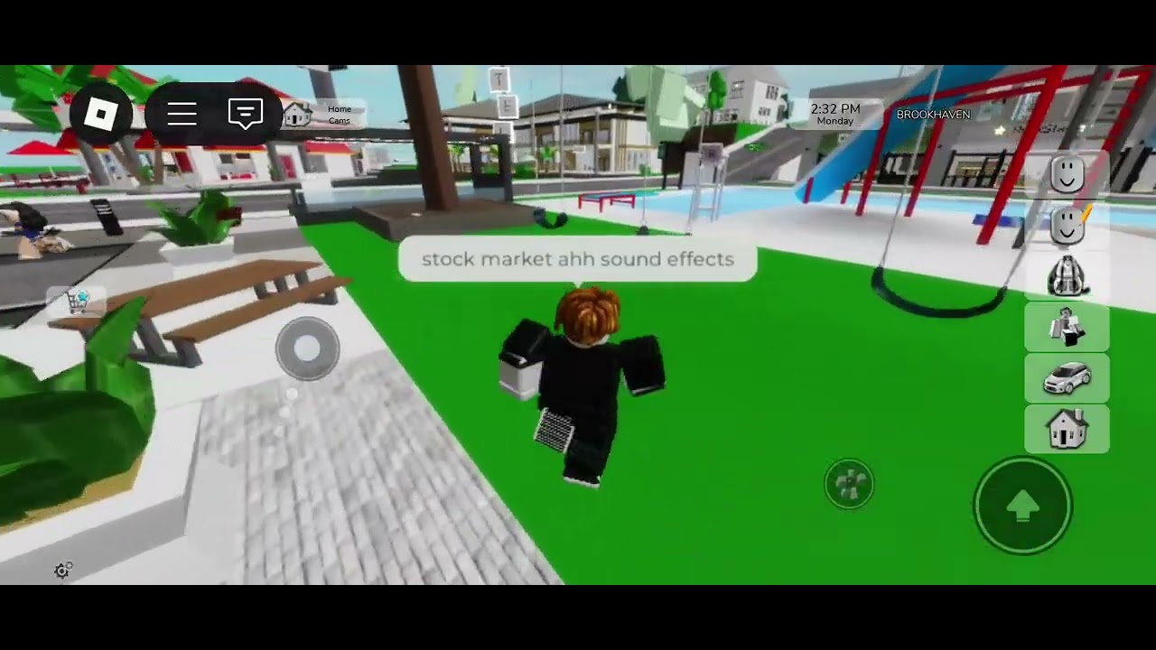 Hacker plays screaming sound effects in Brookhaven - YouTube