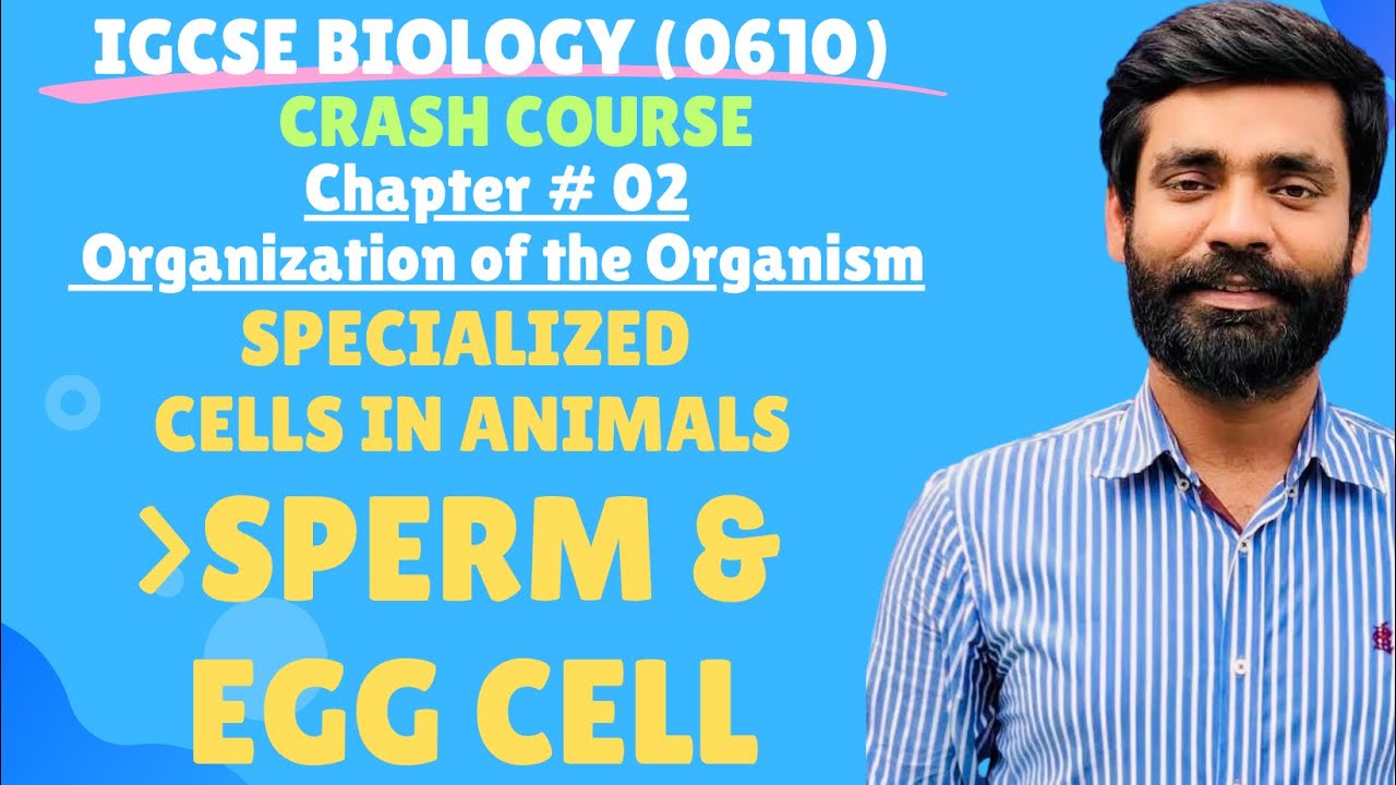 IGCSE Biology|Chapter#02 Structure and functions of Gametes(Sperm and ...