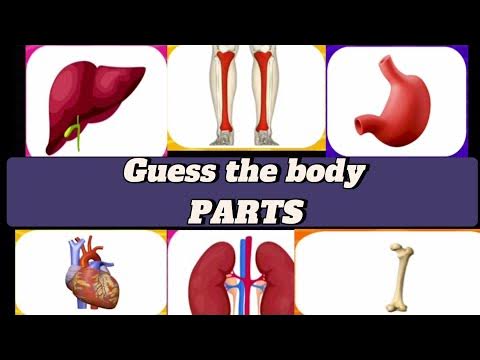 Guess the body parts | Body parts | parts of body quiz |@quizblitz ...