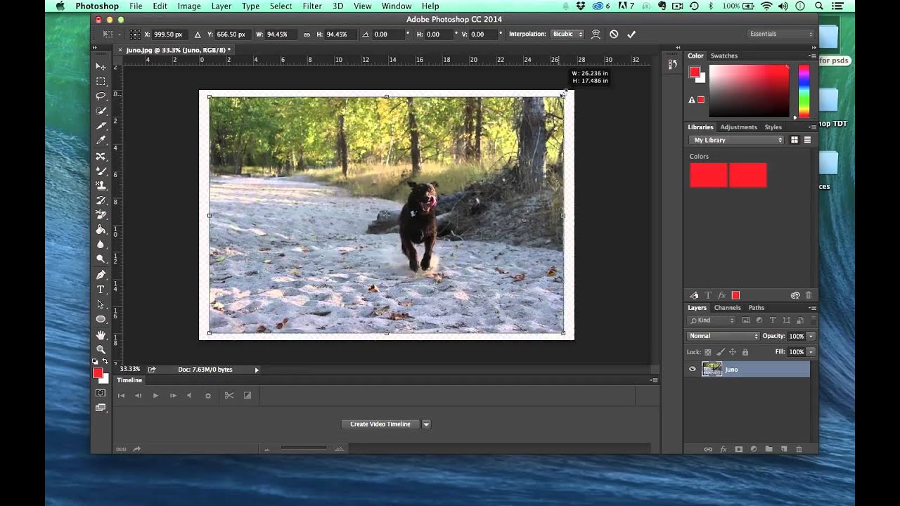 Photoshop CC Tools - The Move Tool - YouTube